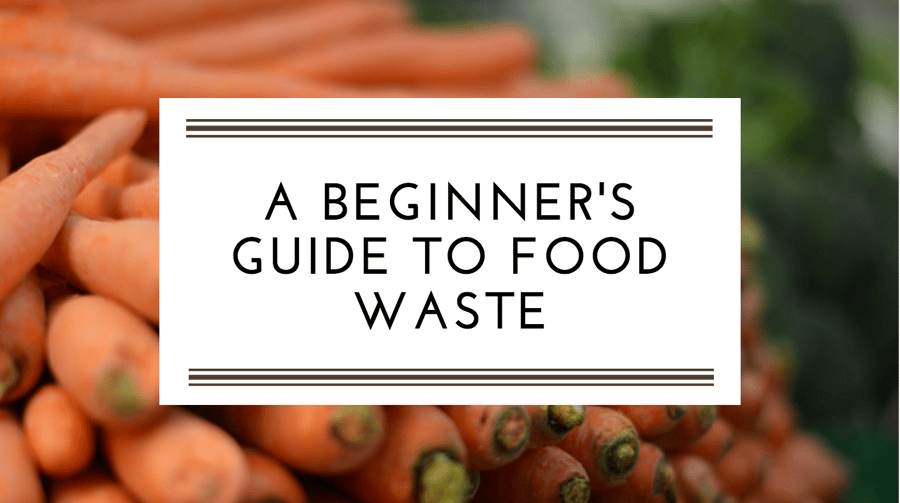 Food Waste: A Beginner's Guide