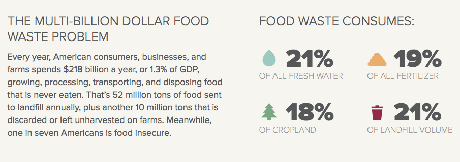 3 Surprising Statistics About the Environmental Impact of Food Waste