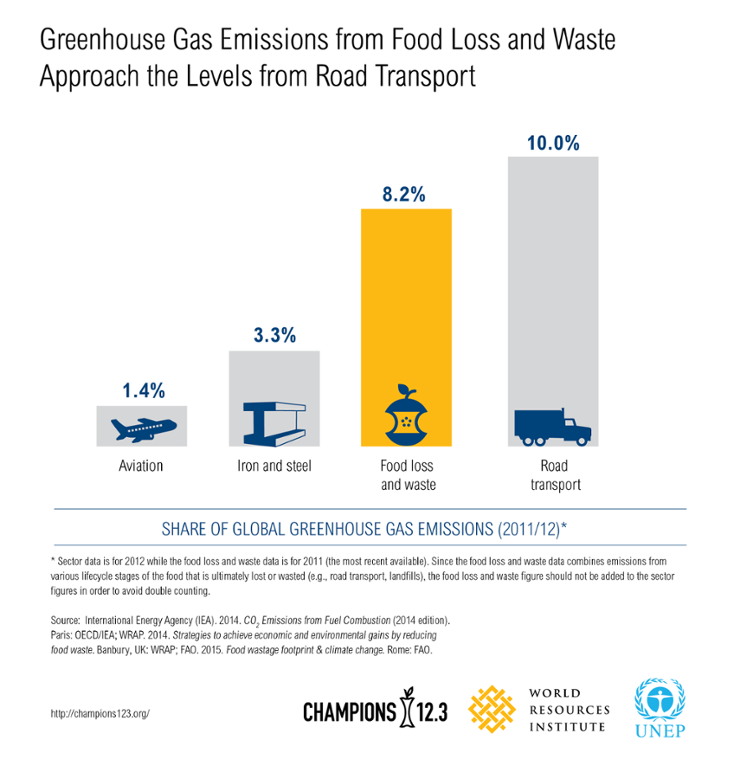 3 Surprising Statistics About the Environmental Impact of Food Waste